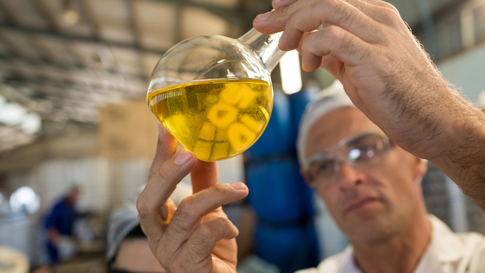 Korkutan uyarı: Zeytinyağında aroma aldatmacası zeytin tarımını bitirir ...