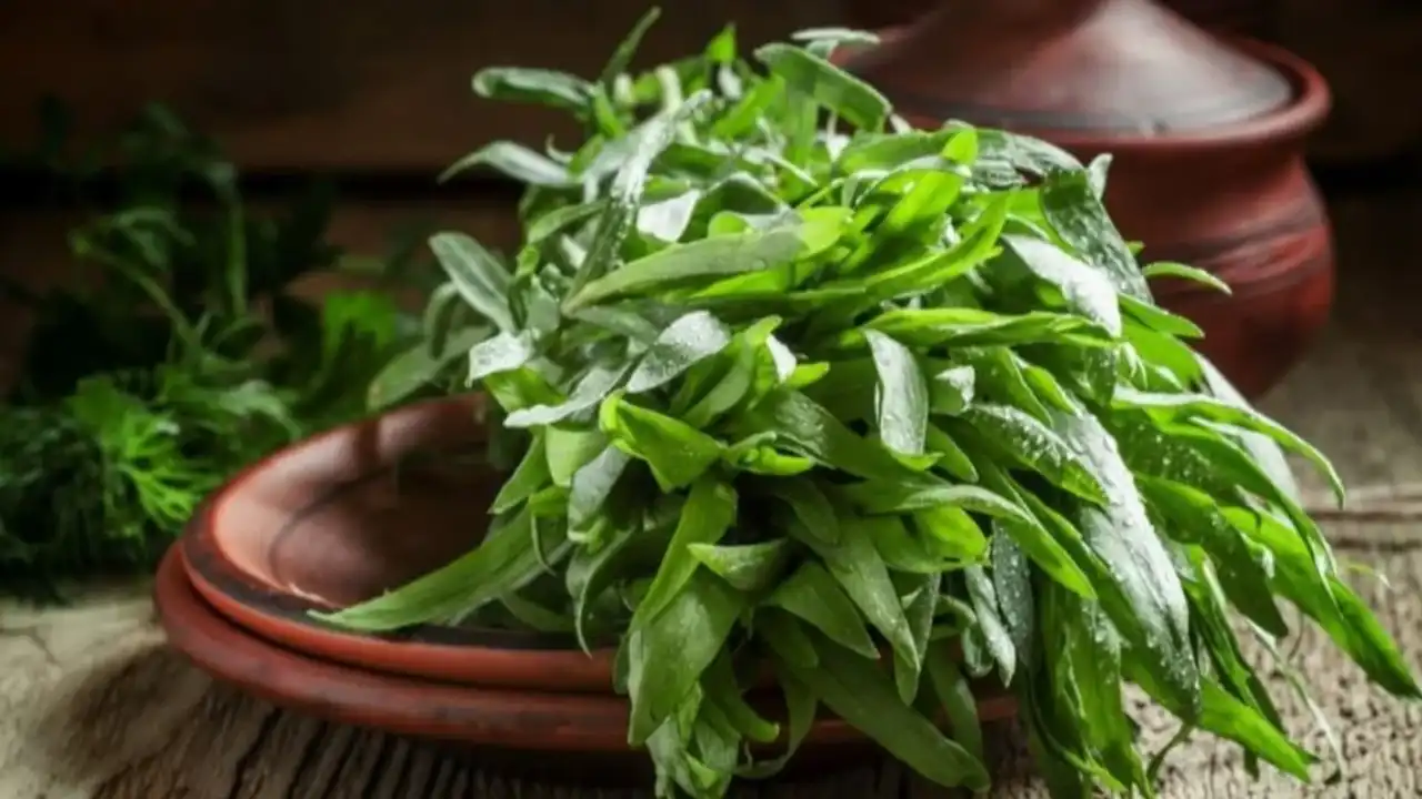 Tarhun otu nedir, nerede yetişir? Tarhun otunun faydaları nelerdir ...