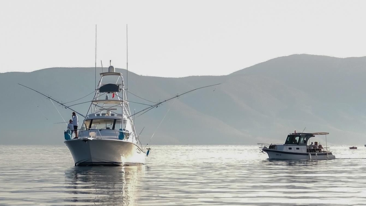 İzmir'de balıkçılık turnuvası: Big Fish Çeşme 2024 başlıyor - İz Gazete ...