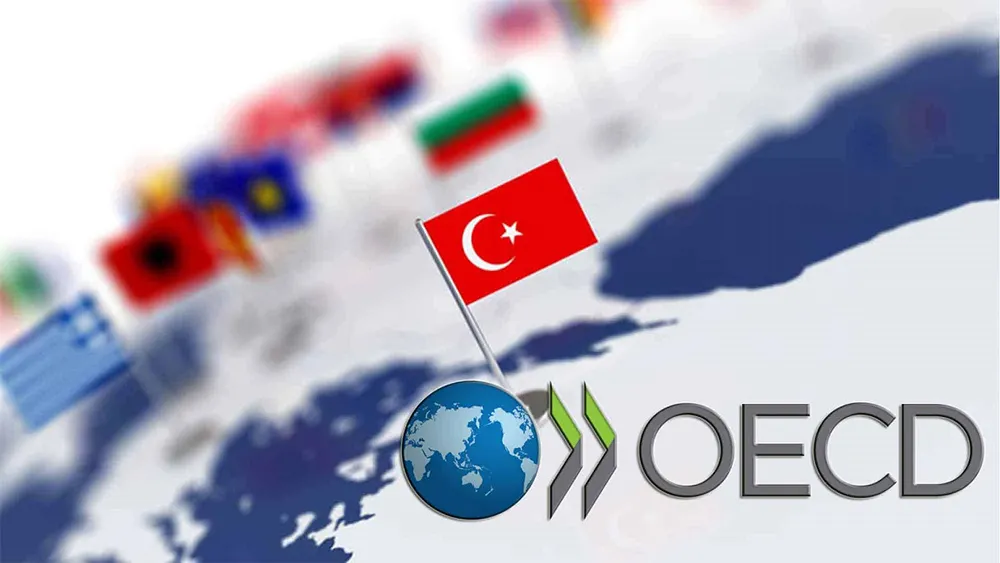 OECD'den Türkiye tahmini: 2025 yılında neler olacak? - İz Gazete ...